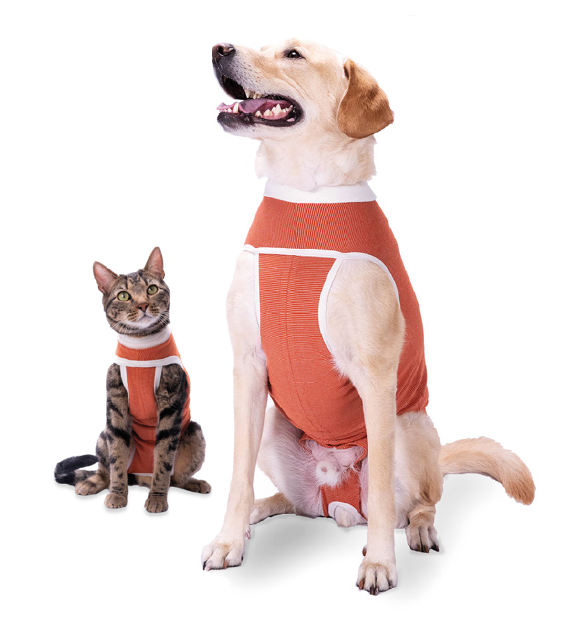 Luna & Milo | Copper Body Klassinen – Vetman